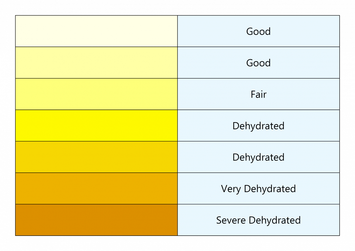 A beginners guide to Hybrid training part 4: Hydration, recovery ...